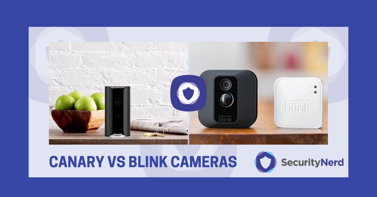 Canary vs Blink Cameras | SecurityNerd